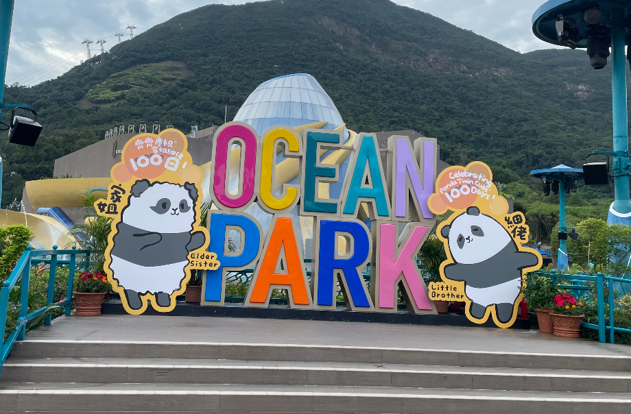 海洋公園睇熊貓點樣遊最抵玩？一文搞掂攻略！ - 香港 - 香港文匯網